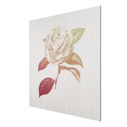 Bilderwelten Alu Dibond Outdoor Bild rot Vintage wetterfest - Modern Vintage Botanik Rose Rot Gr&uuml;n - Pflanzen Wohnzimmer Schlafzimmer