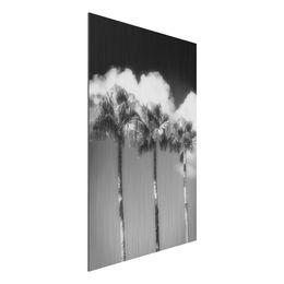 Bilderwelten Alu Dibond Outdoor Bild Natur schwarz weiss Tropisch wetterfest - Palmen vor Himmel Schwarz-Wei&szlig; - Himmel Wohnzimmer Schlafzimmer