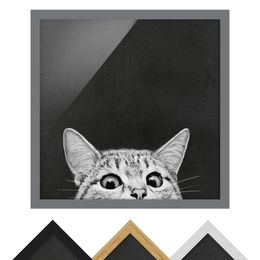 Bilderwelten Bild mit Rahmen - Quadrat Illustration Katze Schwarz Wei&szlig; Zeichnung
