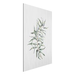 Bilderwelten Alu Dibond Outdoor Bild gr&uuml;n Tropisch Aquarell - Aquarell Eucalyptus IV - Pflanzen Wohnzimmer Schlafzimmer