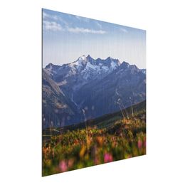 Bilderwelten Alu Dibond Outdoor Bild Blumen bunt Motiv wetterfest - Blumenwiese in den Bergen - Blumenwiese Wohnzimmer Schlafzimmer