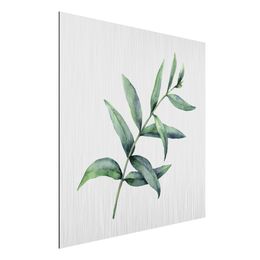 Bilderwelten Alu Dibond Outdoor Bild gr&uuml;n Tropisch Aquarell - Aquarell Eucalyptus I - Pflanzen Wohnzimmer Schlafzimmer