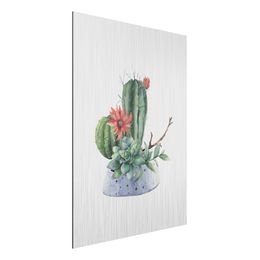 Bilderwelten Alu-Dibond Outdoor Bild Aquarell Kakteen Illustration