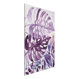 Bilderwelten Alu-Dibond Outdoor Bild Aquarell Tropische Bl&auml;tter mit Monstera in Aubergine