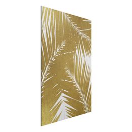 Bilderwelten Alu Dibond Outdoor Bild Natur gold Tropisch wetterfest - Blick durch goldene Palmenbl&auml;tter - Pflanzen Wohnzimmer Schlafzimmer