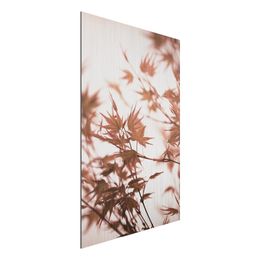 Alu Dibond Outdoor Bild - Ahornbl&auml;tter in Herbstsonne - rot Motiv wetterfest Deko Wohnzimmer Schlafzimmer