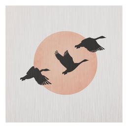 Bilderwelten Alu Dibond Outdoor Bild Natur rosa modern wetterfest - V&ouml;gel vor rosa Sonne III - Sonnenuntergang Wohnzimmer Schlafzimmer