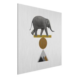 Alu Dibond Outdoor Bild - Balancekunst Elefant - originell grau Illustration wetterfest Deko Wohnzimmer Schlafzimmer