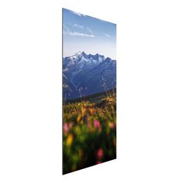 Bilderwelten Alu Dibond Outdoor Bild Blumen bunt Motiv wetterfest - Blumenwiese in den Bergen - Blumenwiese Wohnzimmer Schlafzimmer