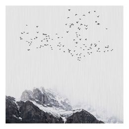 Bilderwelten Alu Dibond Outdoor Bild Natur schwarz weiss Motiv wetterfest - Vogelschwarm vor Bergen Schwarz Wei&szlig; - Berg Wohnzimmer Schlafzimmer