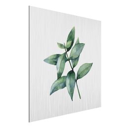 Bilderwelten Alu Dibond Outdoor Bild gr&uuml;n Tropisch Aquarell - Aquarell Eucalyptus III - Pflanzen Wohnzimmer Schlafzimmer