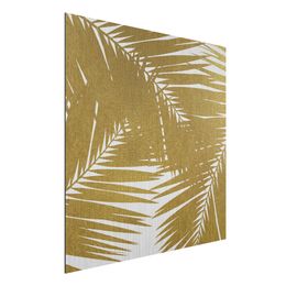 Alu Dibond Outdoor Bild - Blick durch goldene Palmenbl&auml;tter - Natur gold Tropisch wetterfest Pflanzen Wohnzimmer Schlafzimmer