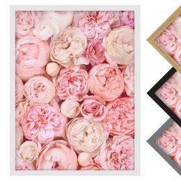 Bilderwelten Bild mit Rahmen Blumen pastell Landhaus inkl. Rahmung - Rosen Ros&eacute; Koralle Shabby - Rose Wohnzimmer Schlafzimmer