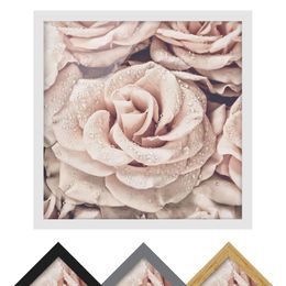 Bilderwelten Bild mit Rahmen - Quadrat Rosen Sepia mit Wassertropfen