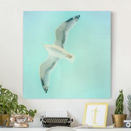 Bilderwelten Leinwandbild Tiere Motiv Kunstdruck blau - Blauer Himmel mit M&ouml;we - V&ouml;gel XXL Wohnzimmer Schlafzimmer