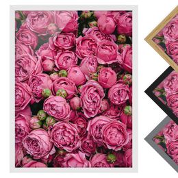 Bilderwelten Bild mit Rahmen Blumen pink Motiv inkl. Rahmung - Pinke Pfingstrosen - Rose Wohnzimmer Schlafzimmer