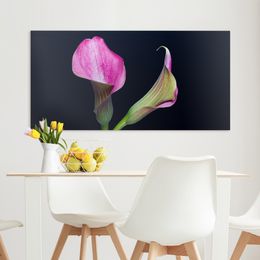 Bilderwelten Leinwandbild Calla Nahaufnahme vor Schwarz