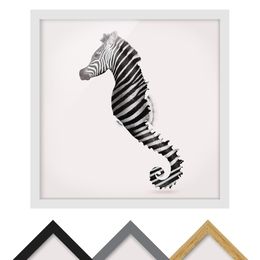 Bilderwelten Bild mit Rahmen Tiere schwarz weiss Fotomontage inkl. Rahmung - Seepferdchen mit Zebrastreifen - Fische Wohnzimmer Schlafzimmer