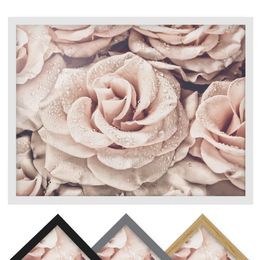Bilderwelten Bild mit Rahmen - Querformat Rosen Sepia mit Wassertropfen