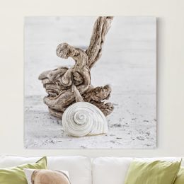 Bilderwelten Leinwandbild Strand Motiv Holzoptik beige - Wei&szlig;es Schneckenhaus und Wurzelholz - Landschaft XXL Wohnzimmer Schlafzimmer