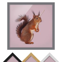 Bilderwelten Bild mit Rahmen - Quadrat Einh&ouml;rnchen