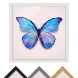 Bilderwelten Bild mit Rahmen Tiere weiss Fotomontage inkl. Rahmung - Holografischer Schmetterling - Schmetterlinge Wohnzimmer Schlafzimmer