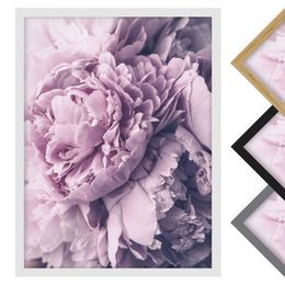 Bilderwelten Bild mit Rahmen Blumen violett Landhaus inkl. Rahmung - Lila Pfingstrosenbl&uuml;ten - Rose Wohnzimmer Schlafzimmer