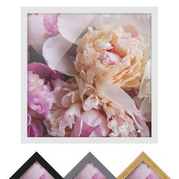 Bilderwelten Bild mit Rahmen Blumen pastell Landhaus inkl. Rahmung - Bl&uuml;hende Pfingstrosen - Rose Wohnzimmer Schlafzimmer