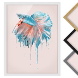 Bilderwelten Bild mit Rahmen Tiere rosa Fotomontage inkl. Rahmung - Schmelzender Fisch - Fische Wohnzimmer Schlafzimmer