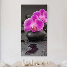 Bilderwelten Leinwandbild Pinke Orchideenbl&uuml;ten auf Steinen mit Tropfen