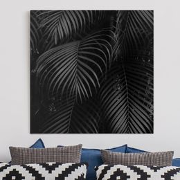 Bilderwelten Leinwandbild Schwarze Palmwedel