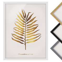 Bilderwelten Bild mit Rahmen Spr&uuml;che gold Tropisch inkl. Rahmung - Gold - Palmenblatt II - Pflanzen Wohnzimmer Schlafzimmer