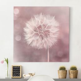 Bilderwelten Leinwandbild Pusteblume Bokeh rosa