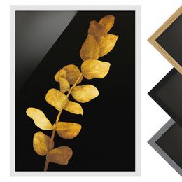Bilderwelten Bild mit Rahmen - Hochformat Gold - Eukalyptus auf Schwarz