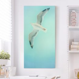 Bilderwelten Leinwandbild Blauer Himmel mit M&ouml;we