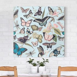 Bilderwelten Leinwandbild Tiere Vintage Kunstdruck bunt - Vintage Collage - Schmetterlinge und Libellen - Retro XXL Wohnzimmer Schlafzimmer