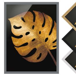 Bilderwelten Bild mit Rahmen - Hochformat Gold - Monstera auf Schwarz