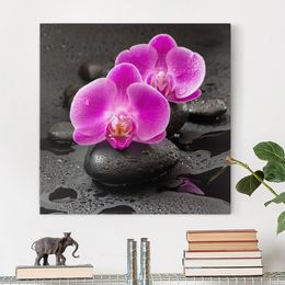 Bilderwelten Leinwandbild Pinke Orchideenbl&uuml;ten auf Steinen mit Tropfen