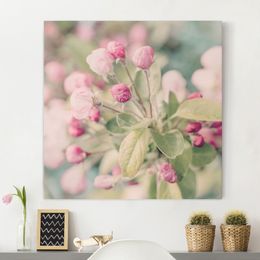 Bilderwelten Leinwandbild Apfelbl&uuml;te Bokeh rosa