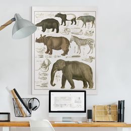 Bilderwelten Leinwandbild Vintage Lehrtafel Elefant, Zebra und Nashorn Leinwanddruck Vintage,Tiere Elefant,Tiere Zebra,Landschaft Afrika Wandbild