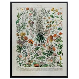 Bilderwelten Leinwandbild Vintage Lehrtafel Blumen I