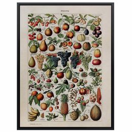 Bilderwelten Leinwandbild Vintage Lehrtafel Fr&uuml;chte