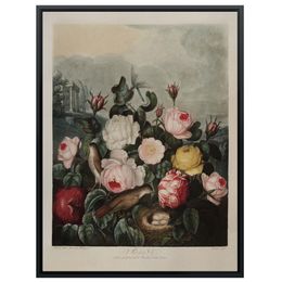 Bilderwelten Leinwandbild Botanik Vintage Illustration Rosen
