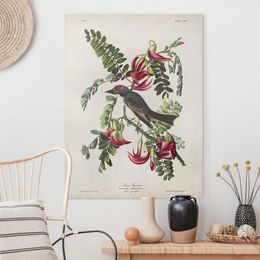 Bilderwelten Leinwandbild Vintage Lehrtafel Fliegenschn&auml;pper II Leinwanddruck Vintage,Tiere - V&ouml;gel,Botanik - Blume Wandbild Wohnzimmer