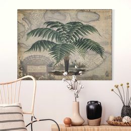 Bilderwelten Leinwandbild Vintage Collage - Palme und Weltkarte