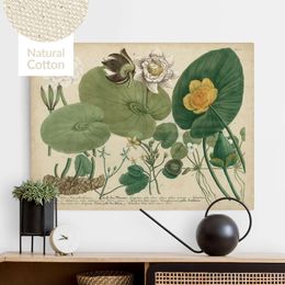 Bilderwelten Leinwandbild Vintage Illustration Wei&szlig;e Wasserlilie