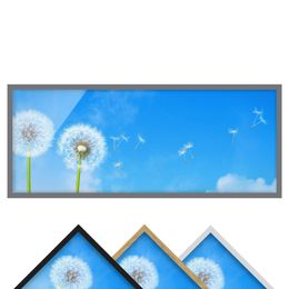 Bilderwelten Bild mit Rahmen - Panorama Flying Seeds