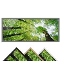 Bilderwelten Bild mit Rahmen - Panorama B&auml;ume des Lebens