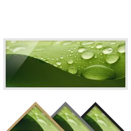 Bilderwelten Bild mit Rahmen Blumen einzigartig Motiv inkl. Rahmung - Drops of Nature - Deko Wohnzimmer Schlafzimmer