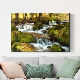 Akustik-Wechselbild Wasserfall herbstlicher Wald